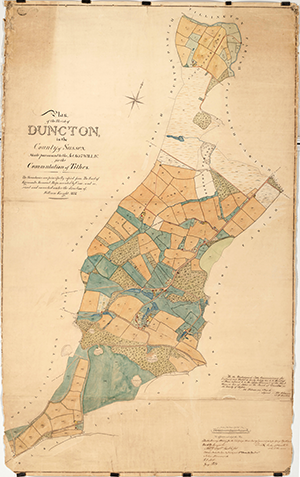 Duncton tithe map, 1837 (TD W41) – West Sussex Record Office