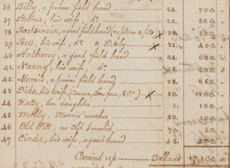 Inventory and valuation of the estate of Doctor John Channing of South ...