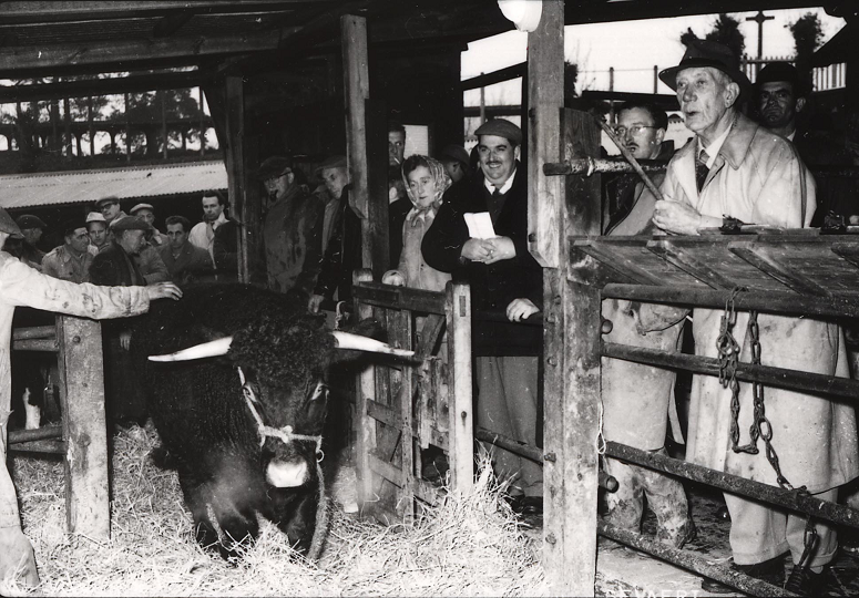 Garland N56733 – West Sussex Record Office