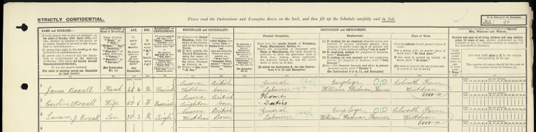 Chasing the Boxalls through the Census – West Sussex Record Office